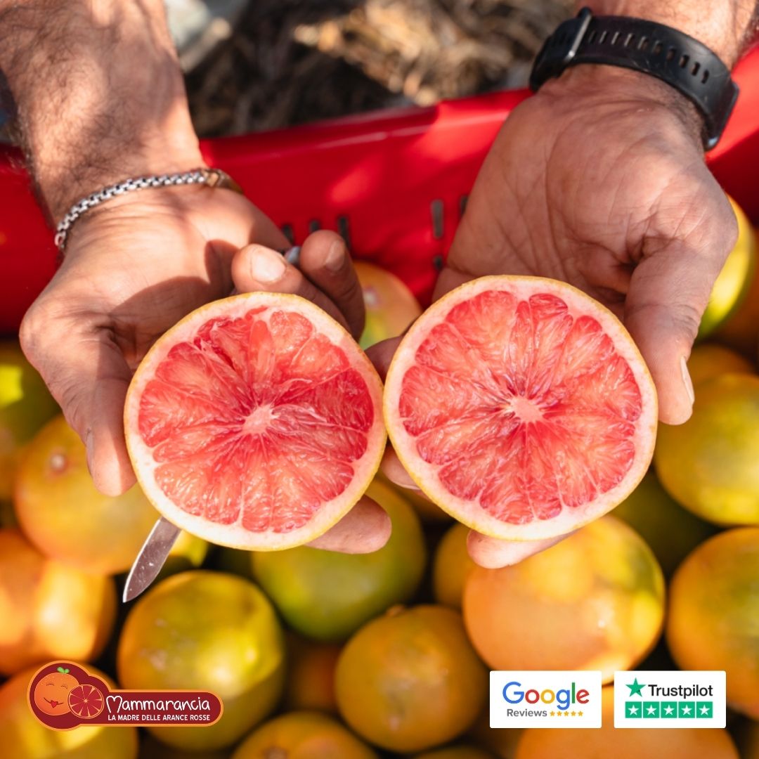Pompelmo Rosa BIO - Mammarancia